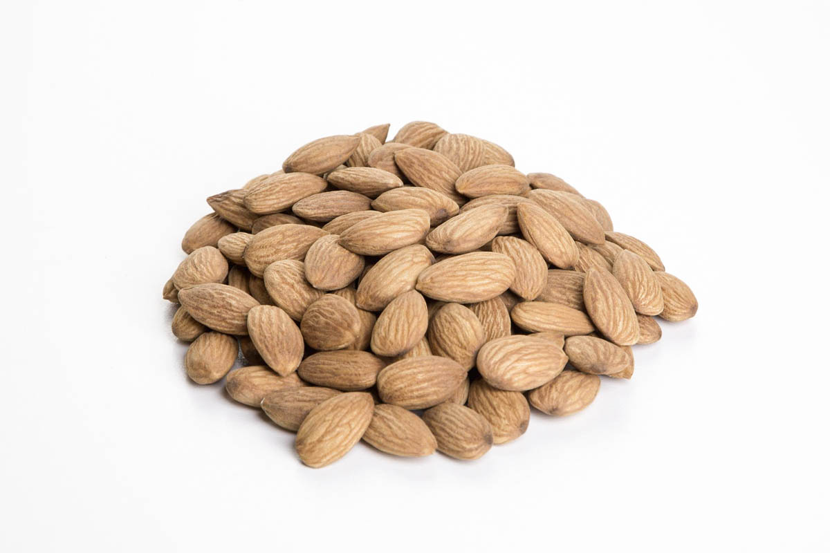 Herstellung der Präparate - Lubeca